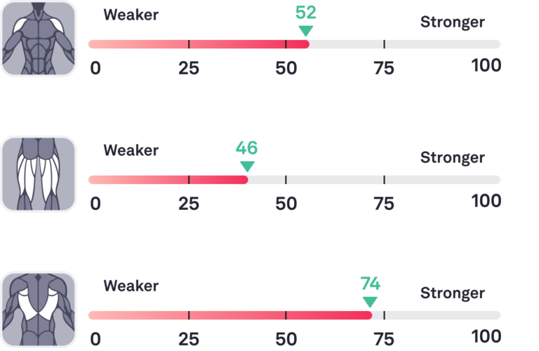 Fitbod's Muscle Strength Score – Fitbod