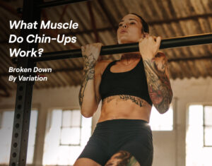 What Muscle Do Chin-Ups Work? Broken Down By Variation – Fitbod